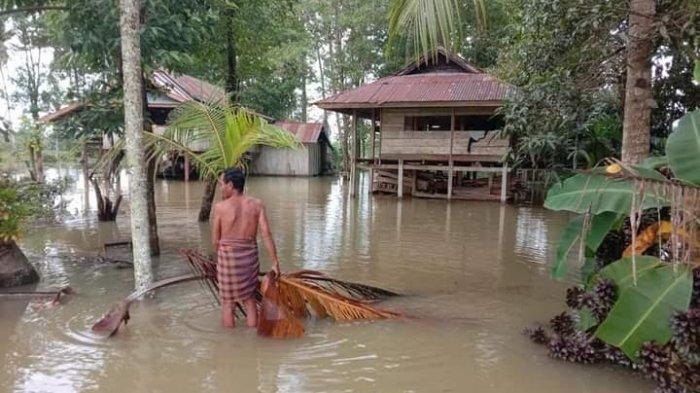 Tiga Dusun di Malangke Barat Luwu Utara Terendam Banjir - Tribun-timur.com