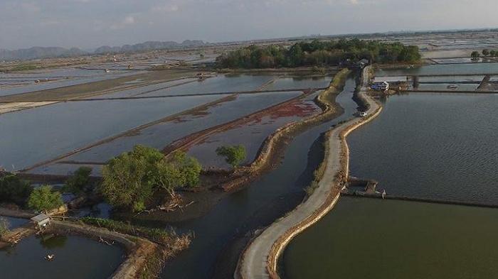 FOTO: Begini Cara Bakar Ikan Bandeng 'Tunu Pararang' Ala Kampung ...