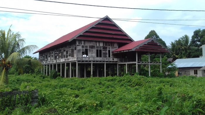 Lapor Pak Bupati! Rumah Adat Wotu Luwu Timur Terbengkalai - Tribun ...