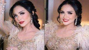 Deretan Artis Sulit Lolos ke Senayan Pileg 2024, Wanda Hamidah, Helmy Yahya, Andika, Venna ...