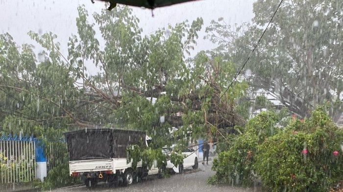 BREAKING NEWS : Akibat Hujan Deras 2 Mobil Tertimpa Pohon di Kotamobagu Suawesi Utara ...