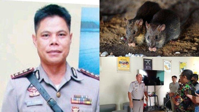 3 Berita Populer Sulut: Eks Kapolresta Manado Ikut Ujian Pengacara ...