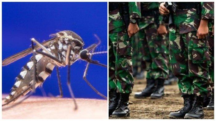 5 Berita Populer Sulut, Selasa 19 Maret 2024: Kasus DBD Naik, Oknum Perwira TNI Aniaya Istri ...