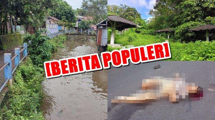 6 Berita Viral Sulawesi Utara: Gunung Tumpa Semrawut hingga Wanita Tak Sadarkan Diri di Tengah ...