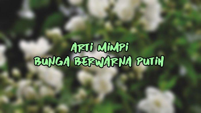 Arti Mimpi Bunga Berwarna Putih, Bisa Jadi Pertanda si Pemimpi akan ...