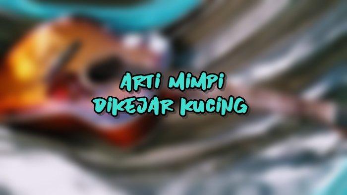 Arti Mimpi Dikejar Kucing, Pertanda si Pemimpi Merasa Terpojok, Ini ...