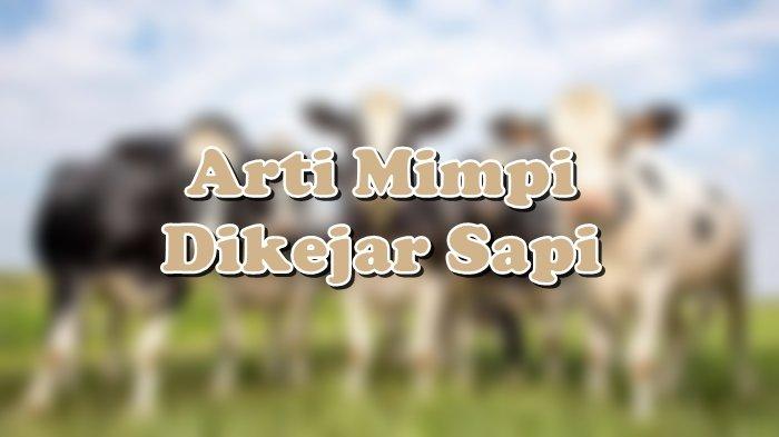 Arti Mimpi Dikejar Sapi, Jadi Tanda untuk Segera Menepati Janji ...