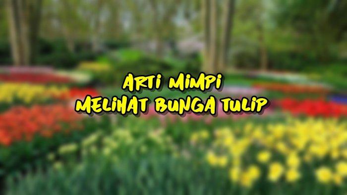 Arti Mimpi Melihat Bunga Tulip, Ternyata Menandakan Perasaan Gembira ...