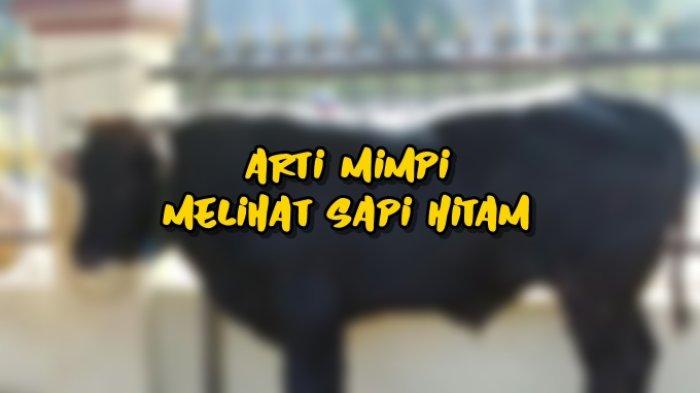 Berita Arti Mimpi Melihat Sapi Hitam Terbaru Hari Ini - Tribunmanado.co.id
