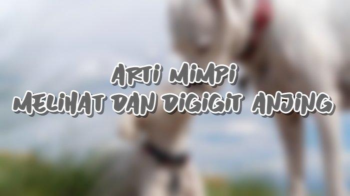 Arti Mimpi Melihat dan Digigit Anjing, Pertanda Adanya Musuh hingga Ada ...