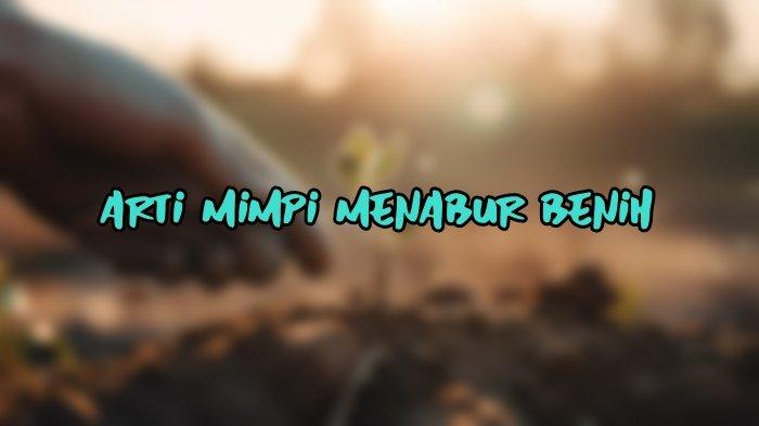 Arti Mimpi Menabur Benih, Jadi Pertanda Anda Harus Memanfaatkan Peluang ...