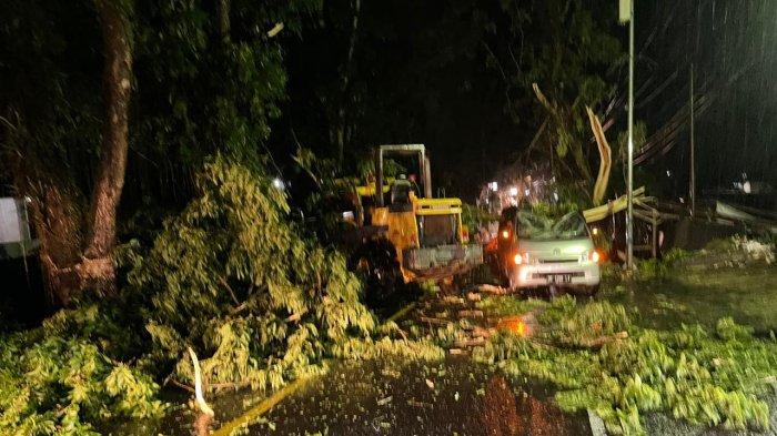 Satu Mobil Tertimpa Pohon Akibat Hujan Deras Disertai Angin Kencang, BPBD Minut Gerak Cepat ...