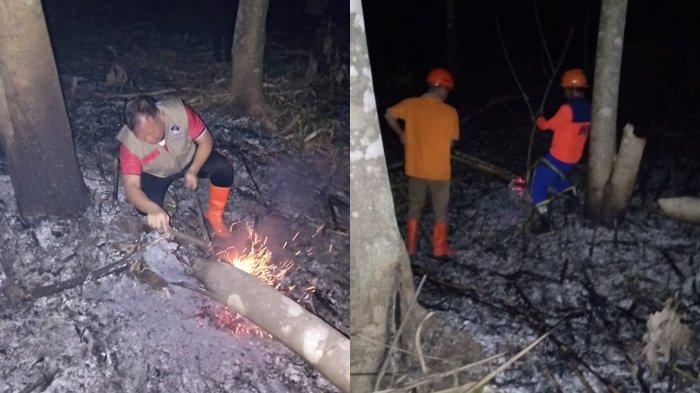 BREAKNIG NEWS Kebakaran Hutan di Gunung Klabat Minut Sulawesi Utara, BPBD Ungkap Penyebabnya ...