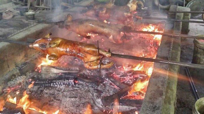 Harga Babi Putar di Manado Sulawesi Utara, Update Desember 2023 ...