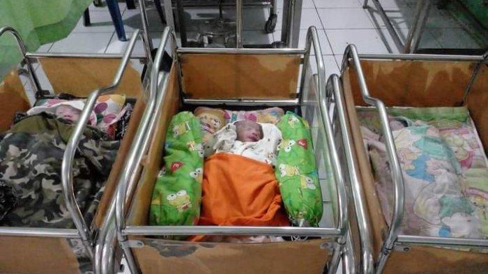 Fakta-fakta Bayi Kembar 3 Lahir di Likupang Minahasa Utara Sulut, Viral ...
