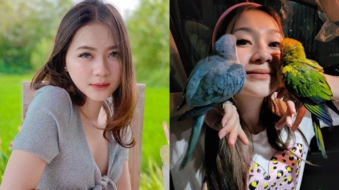 Cerita Celin Wenzen, Cewek Manado yang Punya Hobby Pelihara Burung Hias - Tribunmanado.co.id