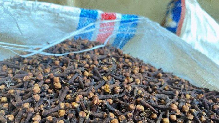 Info Harga Cengkeh di Manado Sulawesi Utara, Kamis 12 September 2024 ...