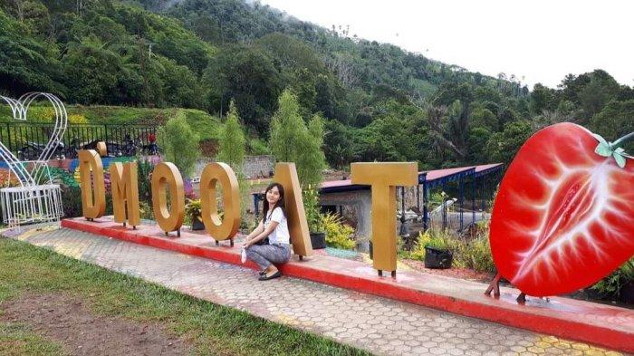 D'Moat Cafe Boltim, Tempat Terbaik untuk Healing di Sulawesi Utara, Ada ...