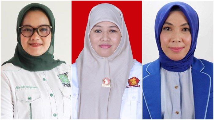Daftar Bupati dan Wabup Perempuan di Lampung yang Terpilih pada Pilkada 2024 - Tribunmanado.co.id