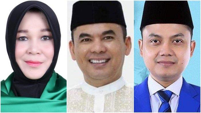 Daftar Harta Kekayaan Wali Kota Terpilih di Aceh Hasil Pilkada 2024, Siapa Terkaya ...