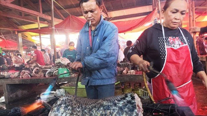 Daging Ular Piton Laris Manis, Pasar Ekstrem Langowan Sulawesi Utara ...