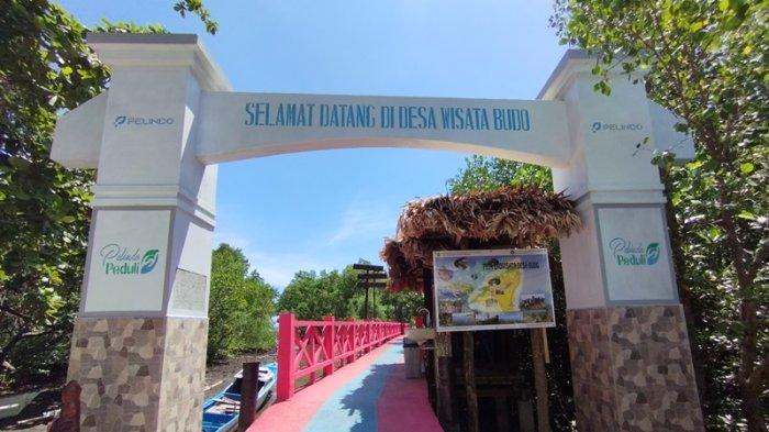 Desa Budo, Tempat Wisata dengan Pemandangan Laut dan Hutan Mangrove di ...