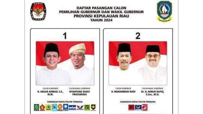 Daftar Lengkap Nama Kepala Daerah Terpilih Pemenang Pilkada se-Kepri dan Riau 2024 ...