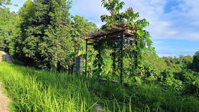 Potret Fasilitas Rusak di Wisata Gunung Tumpa Manado Sulawesi Utara ...