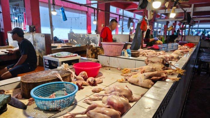 Harga Daging Ayam di Pasar Bersehati Manado Turun, Kini Rp 33 Ribu per ...