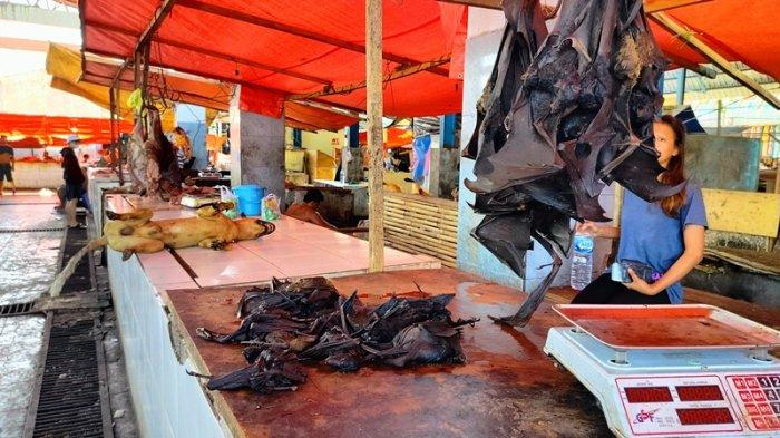 Kelelawar Jadi Daging Ekstrem Paling Mahal di Pasar Karombasan Manado ...