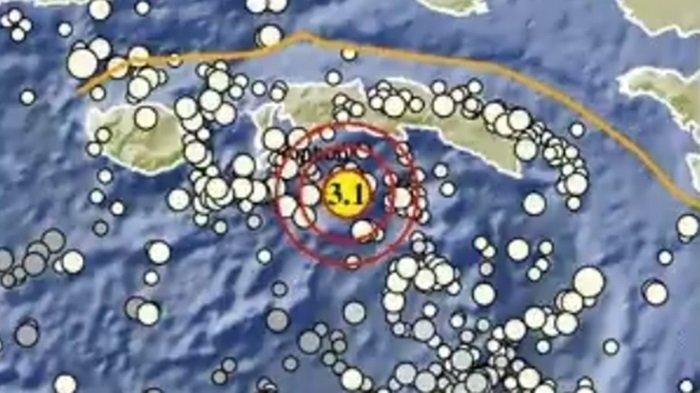 Gempa Terkini Siang Ini Sabtu 1 Juli 2023, Baru Saja Guncang di Laut, Info BMKG Magnitudonya ...