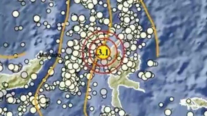 Gempa Terkini Siang Ini Senin 20 Januari 2025, Info BMKG Titik Lokasi dan Magnitudonya ...