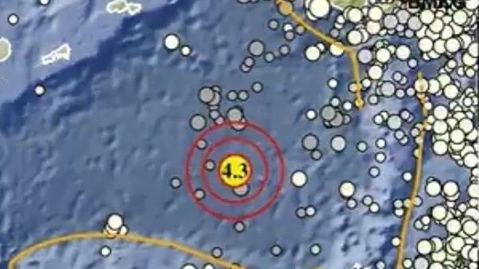 Gempa Terkini di Sulawesi Utara Siang Ini Rabu 28 Agustus 2024, Info BMKG Magnitudonya ...