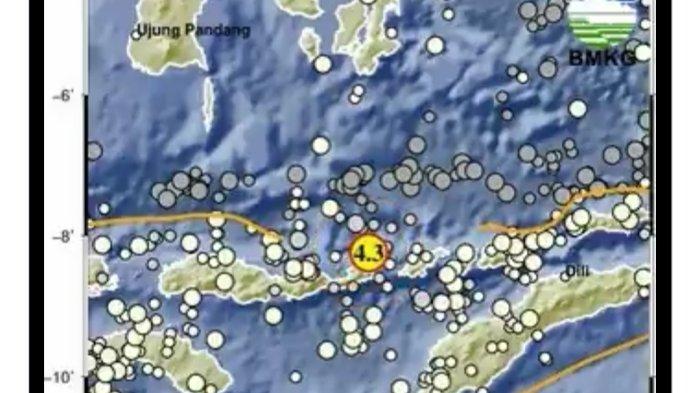Pukul 11.02 WIB Terjadi di NTT, Tercatat BMKG Gempa Bumi Magnitudo 4.3 Guncang Larantuka ...