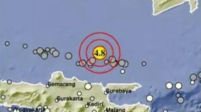 Gempa Terkini Siang Ini Guncang Jawa Timur Senin 13 Mei 2024, Info BMKG Magnitudo 4,8 SR di Laut ...
