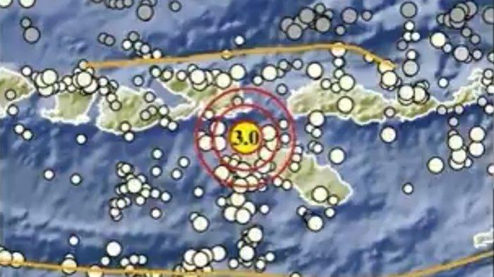 Gempa di Nusa Tenggara Timur Siang Ini Selasa 24 Juni 2025, Info BMKG Terjadi di Laut ...