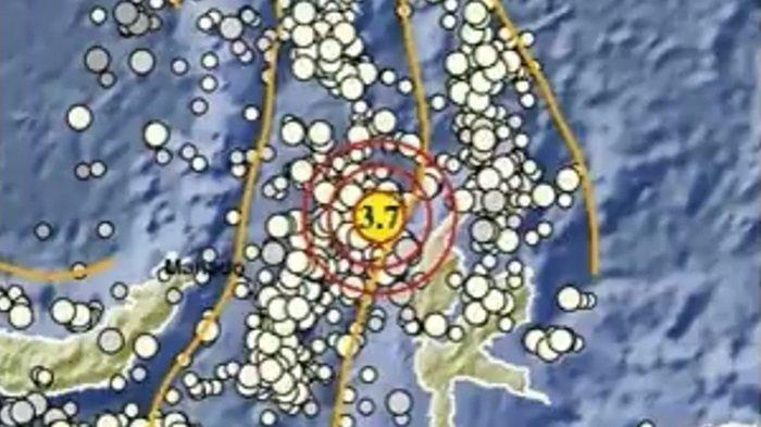Berita Gempa Terkini Pagi Ini Jumat 21 Februari 2025 Terbaru Hari Ini ...