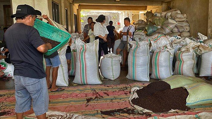 Info Harga Cengkeh di Manado Sulawesi Utara Rabu 18 September 2024 ...