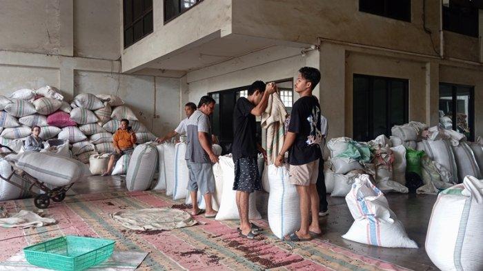 Info Harga Cengkeh di Manado Sulawesi Utara Senin 7 Oktober 2024, Naik ...