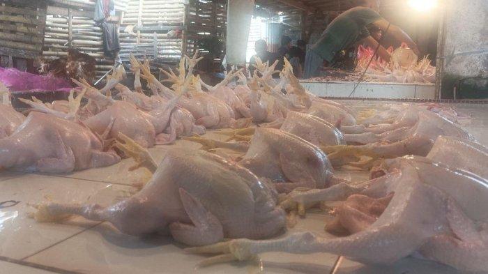 Jelang Ramadan 2024, Harga Ayam Daging di Bitung Sulawesi Utara Naik Rp 5 Ribu Per Ekor ...