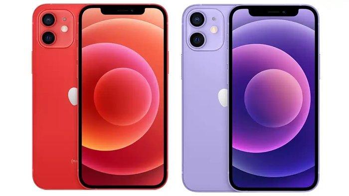 Harga HP iPhone 12 di Februari 2025, Cek Spesifikasinya - Tribunmanado ...