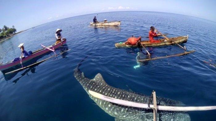 Berikut 6 Lokasi Wisata di Gorontalo, Cocok Dikunjungi Saat Libur, Bisa ...