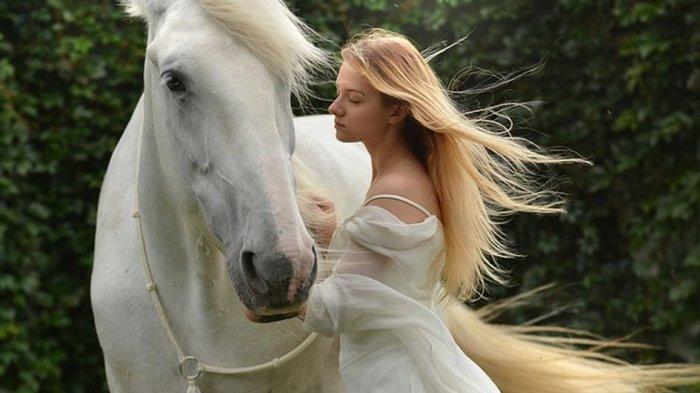 Arti Mimpi Tentang Kuda, Pertanda Baik Jika Kuda Jinak, Berikut ...