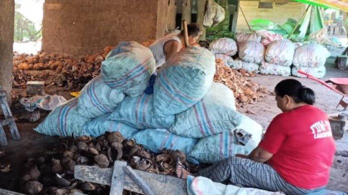 Berita Populer Manado: Harga Kopra Naik, Dua Kasus Penganiayaan, Lubang ...