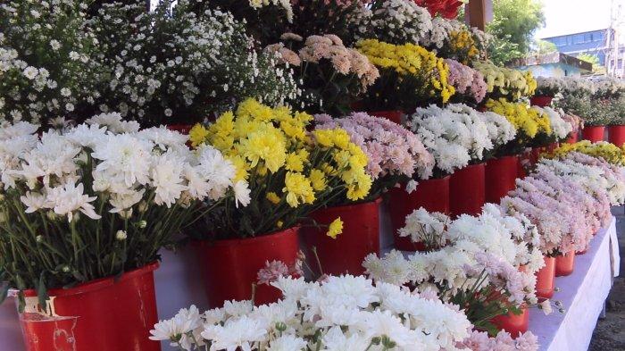 Potret Pemandangan Indah Bunga Segar di Jalan Sam Ratulangi Winangun ...