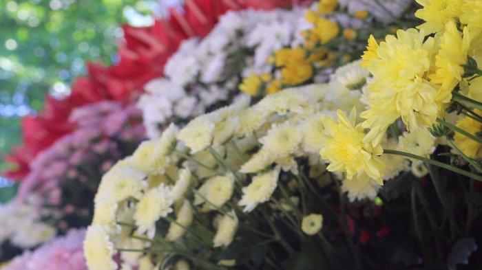 Potret Pemandangan Indah Bunga Segar di Jalan Sam Ratulangi Winangun ...