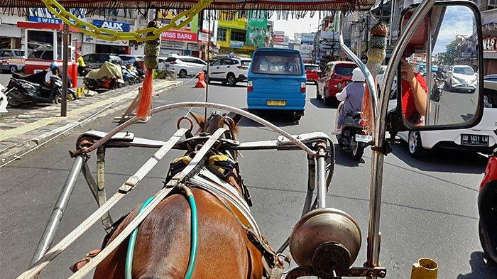 Kisah Hendrik, Kuda Bendi Menembus Kemacetan Pasar 45 Manado, Kusir ...