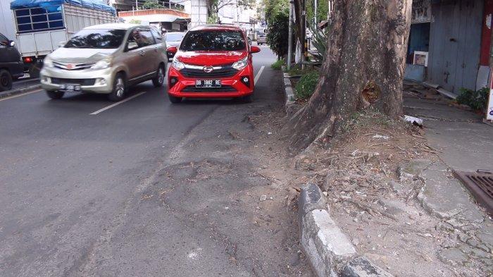 BERITA FOTO: Pohon Peneduh di Kota Manado Sulawesi Utara Merusak ...