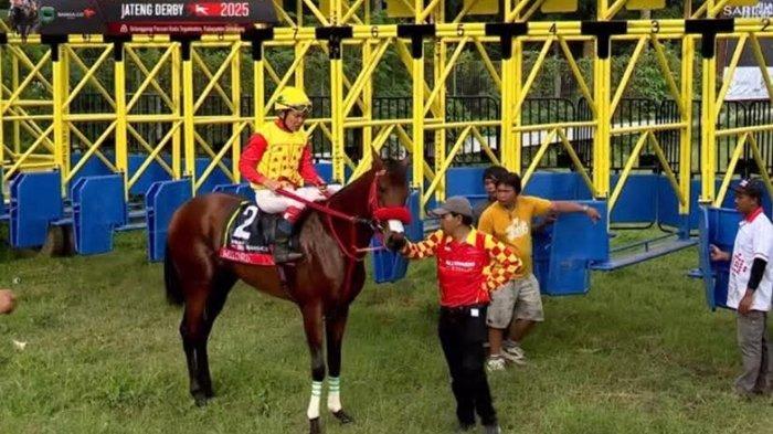 Fakta-Fakta Milord si Kuda Terbaik Sulawesi Utara Tewas di Jateng Derby 2025, Joki Cedera Patah ...