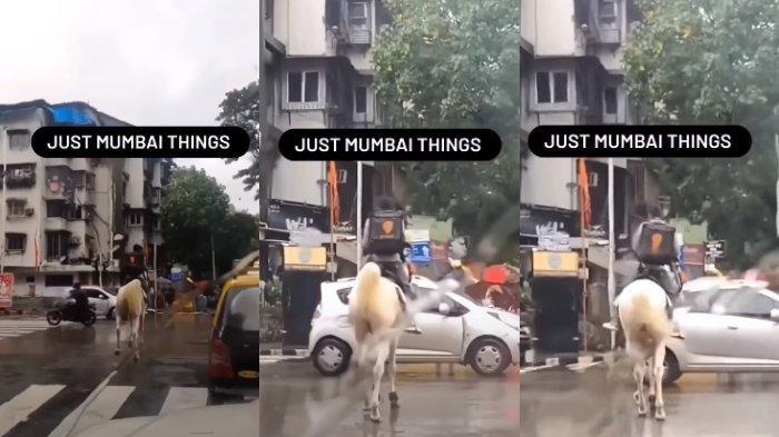 Baru Terungkap Identitas Penunggang Kuda Misterius yang Bikin Warga ...